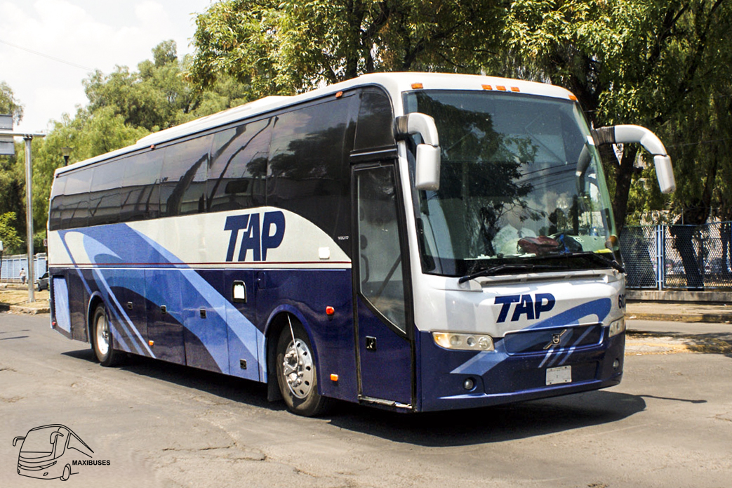 MAXIBUSES: TRANSPORTES Y AUTOBUSES DEL PACÍFICO (TAP)