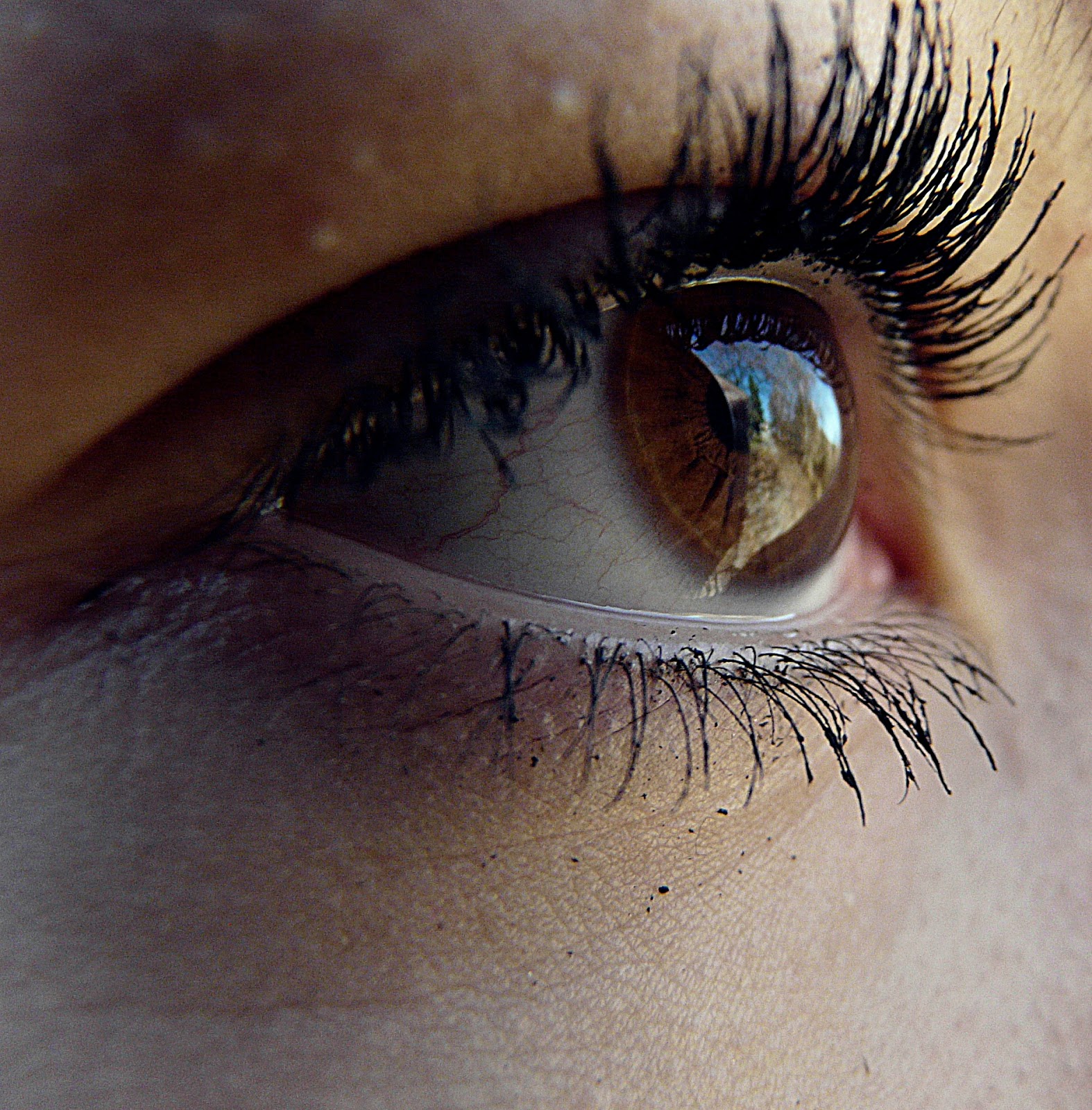 Crazy Pictures: 25 Lovely Pics Of Eyes