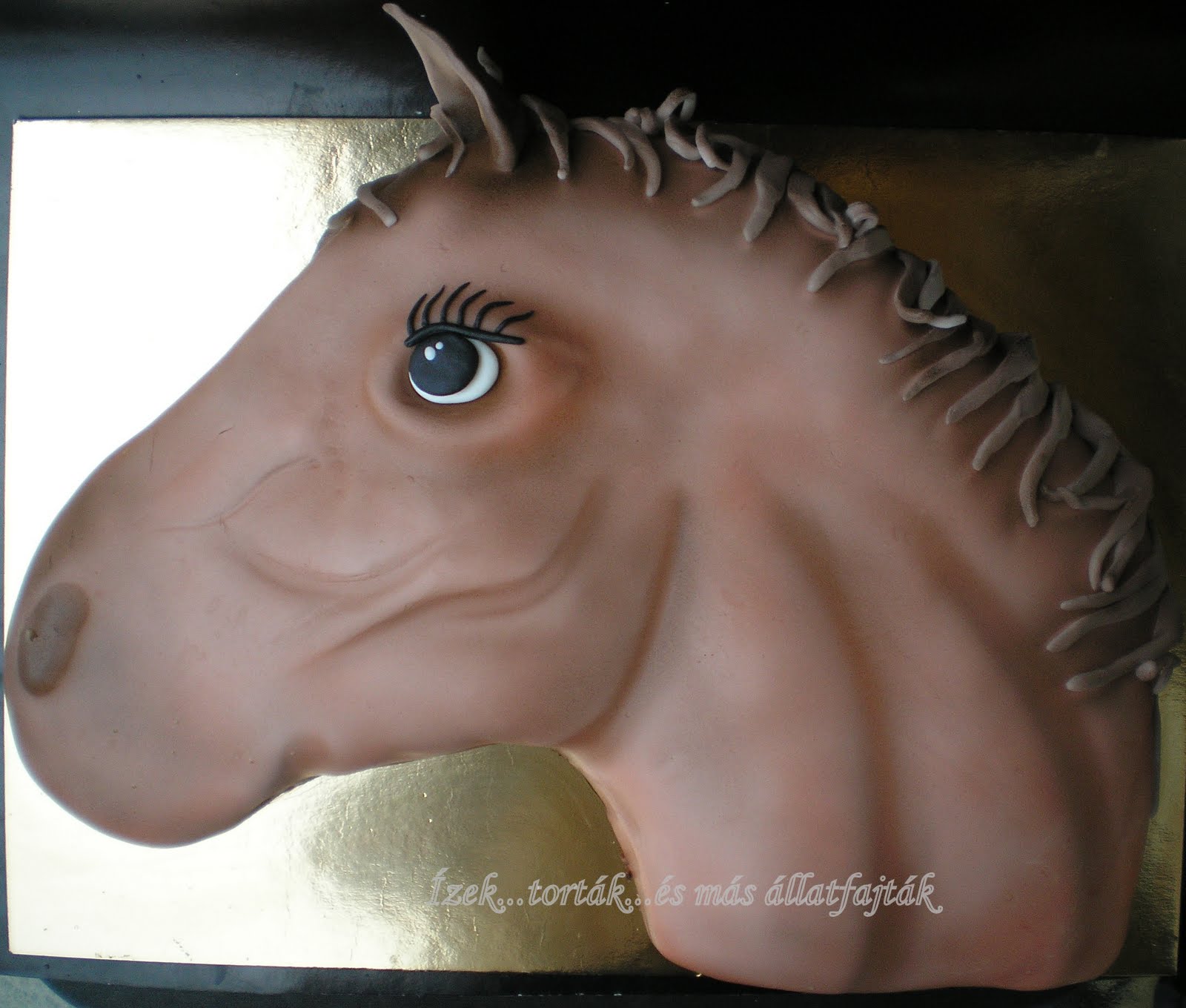 Ízek...torták...és más állatfajták: CSAK TORTÁK