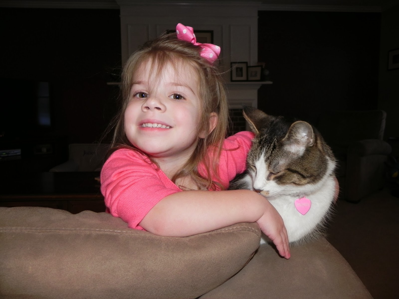 Leah Loo, Jelly Boo, and Teddy Too: Best Friends Forever