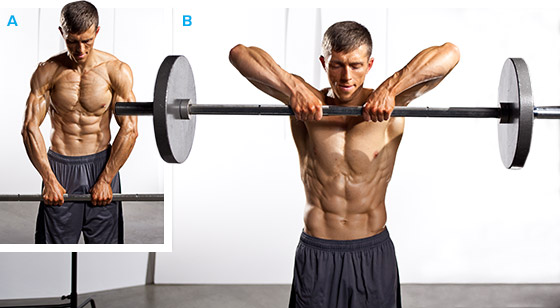 Guía de Ejercicios Fitness and BodyBuilding: REMO AL CUELLO CON BARRA