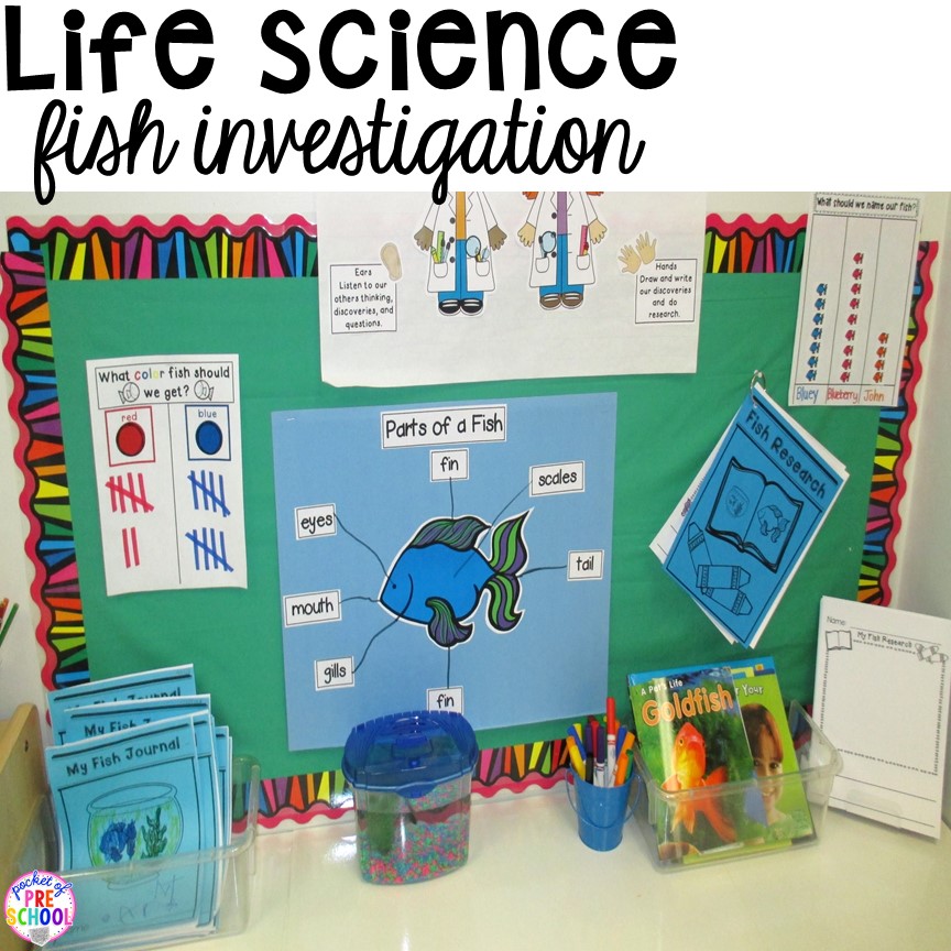 How to set up the Science Center in your Early Childhood Classroom ...