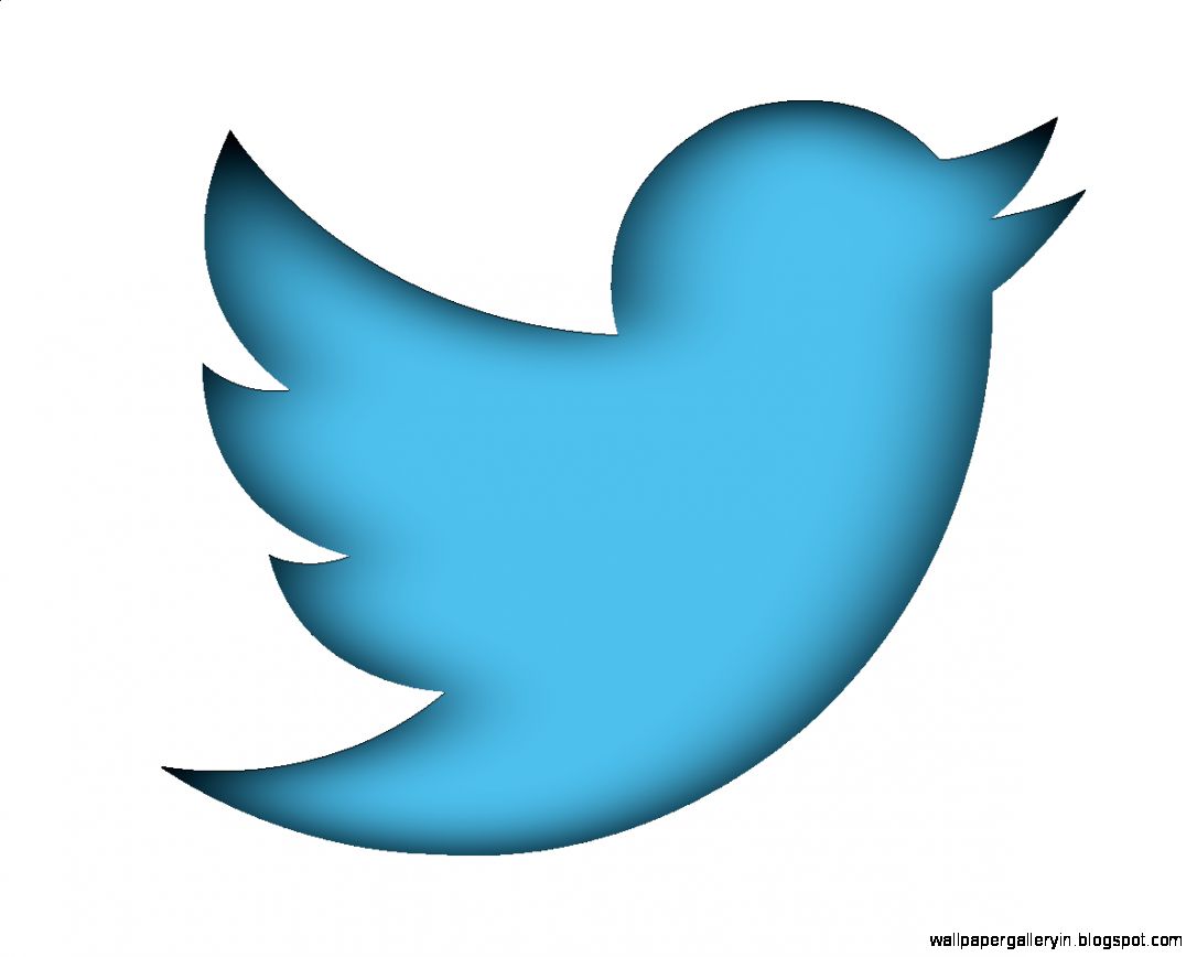 Twitter download hd - aminohsa