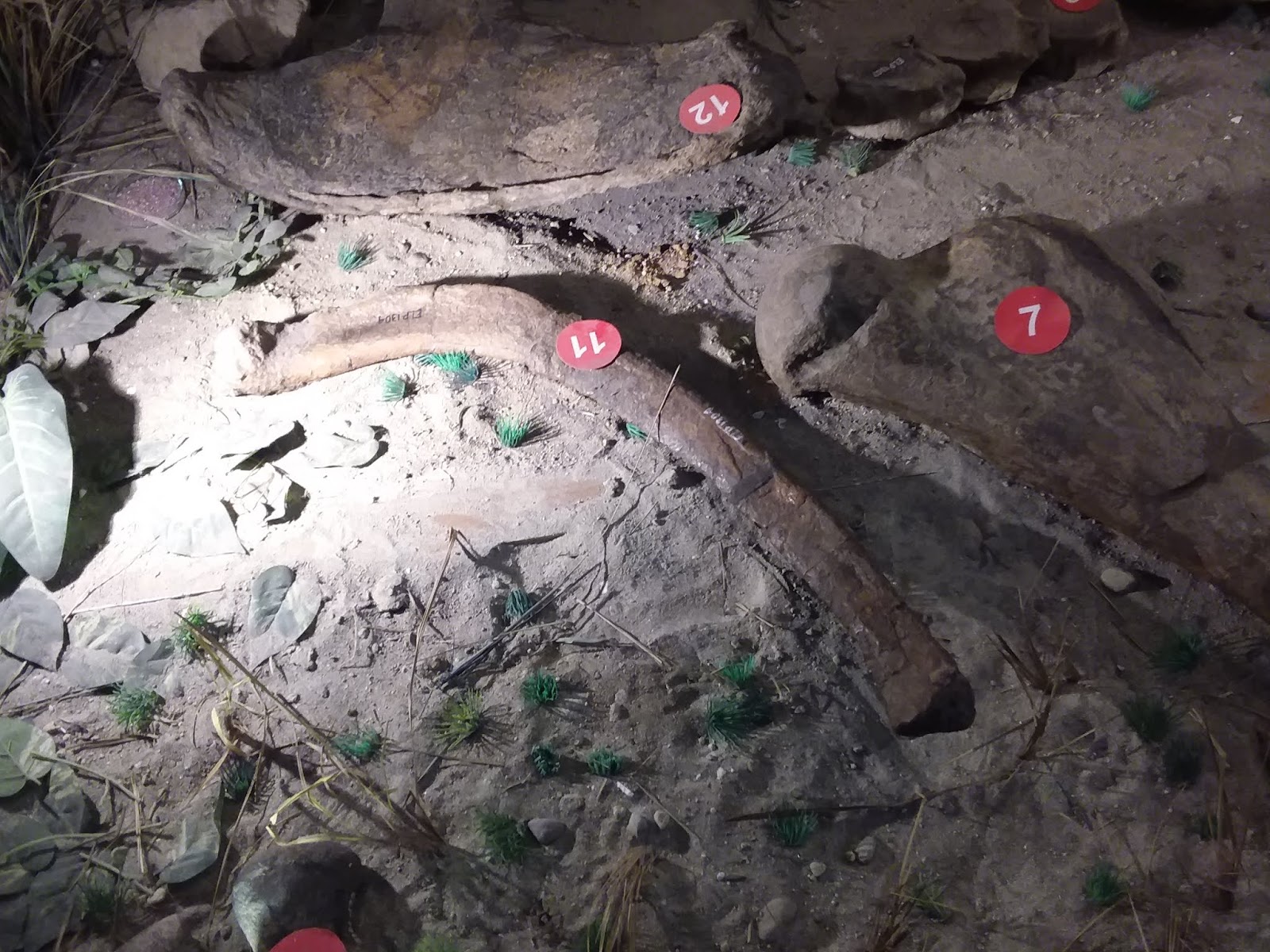 Sangiran Museum the World Heritage Site