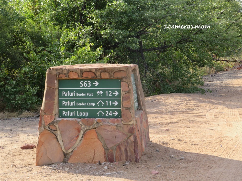 1camera1mom: Kruger National Park - Part 6