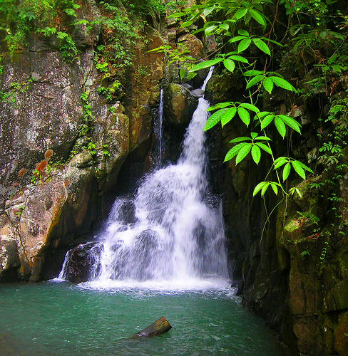 Funny Pictures Gallery: Super nature, super nature wallpaper, super ...