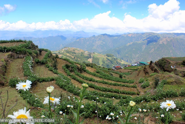 SIRANG LENTE | TRAVEL & HIKE: Mt. Timbak, Benguet (Hiking Guide ...