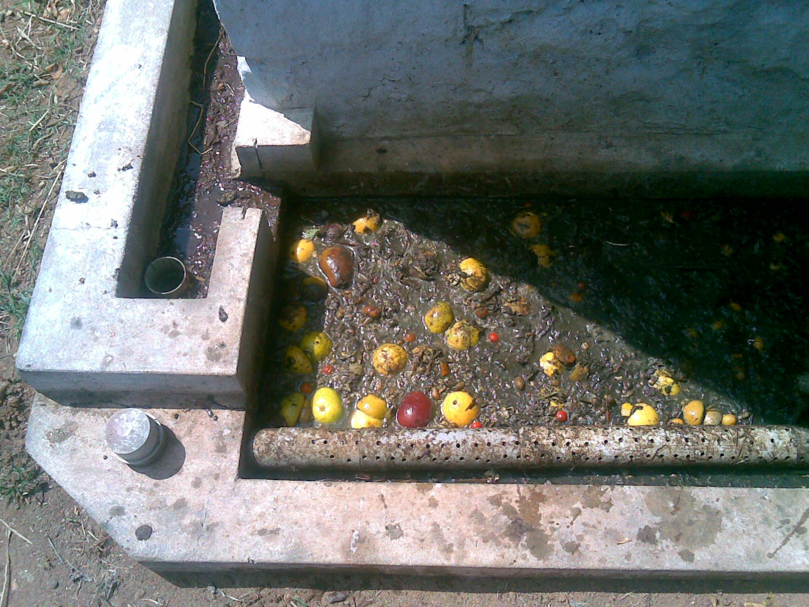 M.V. Hitech Irrigation: Cow Urine Collection