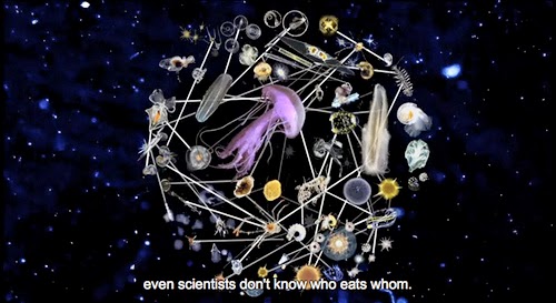 Scientificando: novembre 2014