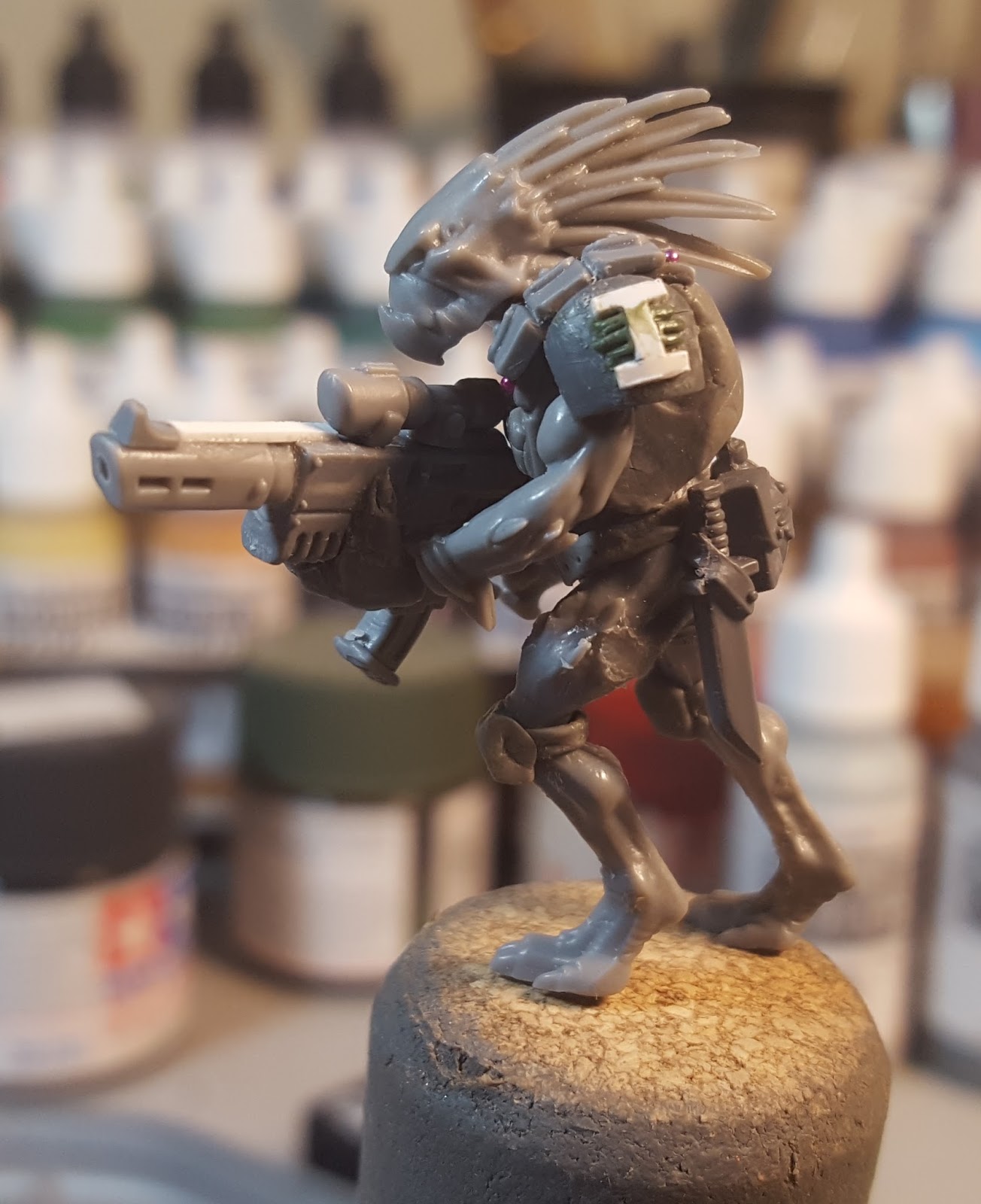 White Tanks Hobbies: WIP - Kroot Mercenary