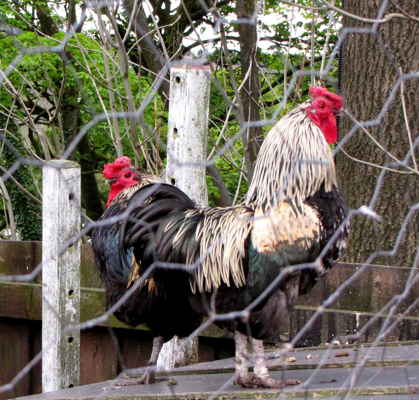 The Glebe Blog: The Yorkshire Dales May 2012 - Day 1 & 2