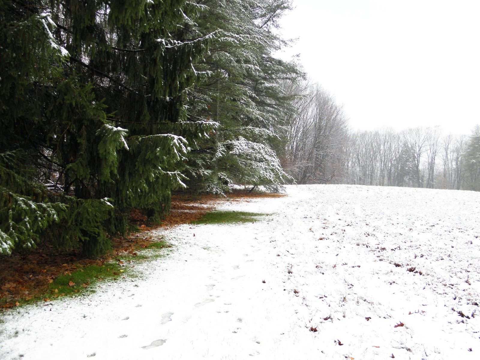 First Snowfall of the Season