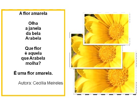 ALEGRIA DE SABER: Sequência didática "A flor amarela"