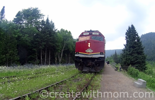 Create With Mom: Experiencing Wilderness Aboard Agawa Canyon Tour Train