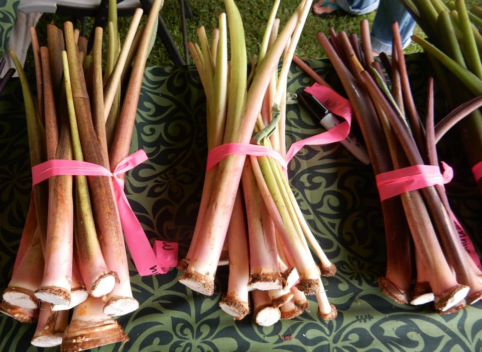 Aloha from Hawaii: The Sacred, Life sustaining Hawaiian plant ancestor ...