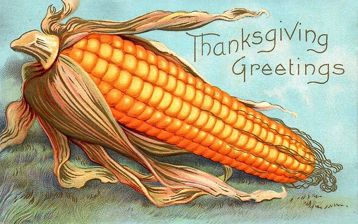 Chocolate Rabbit Graphics: Vintage Thanksgiving Postcard - Corn