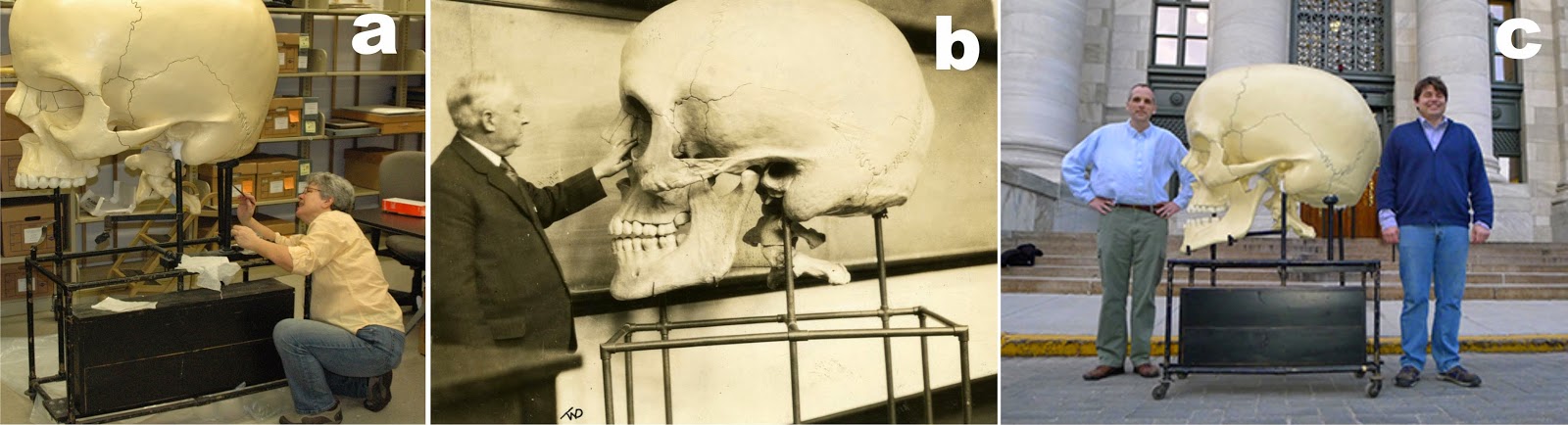 Beyond The Old Teaching: 12. Giant Humans and the Secrets of Evolution