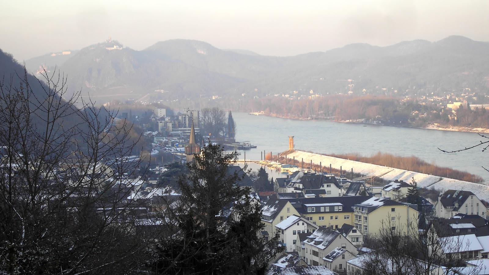 Weinkultur Remagen: Oberwinter