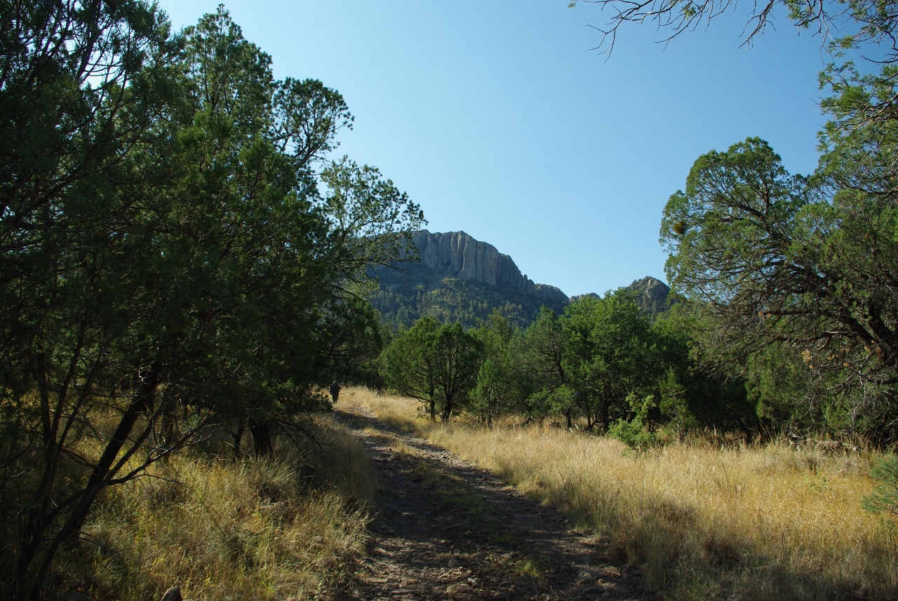 Here and There//Texas/New Mexico: Mt Livermore, Davis Mountains: Texas' #2