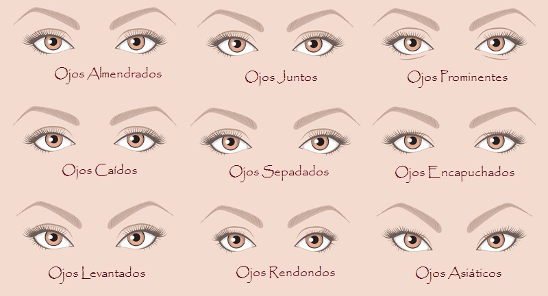 dbm_paranoid: Entendiendo la forma del rostro