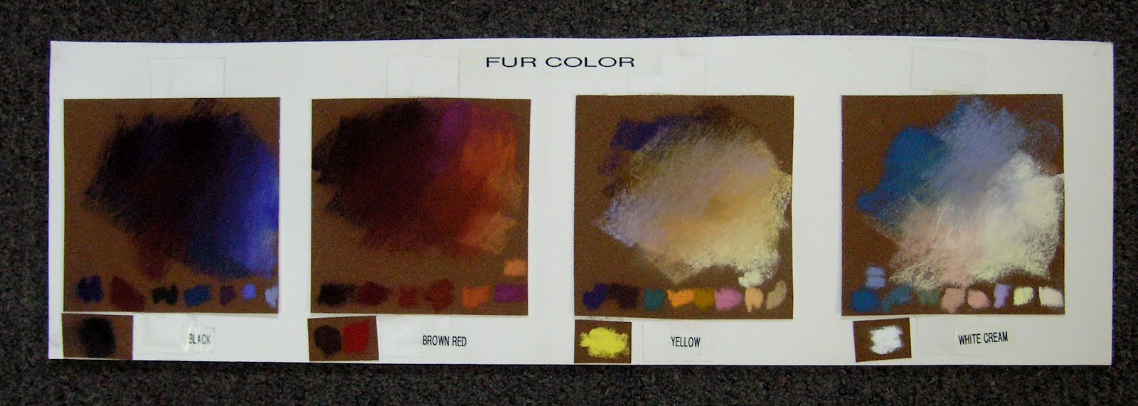 Painting My World: Animal Fur Color Made Simple