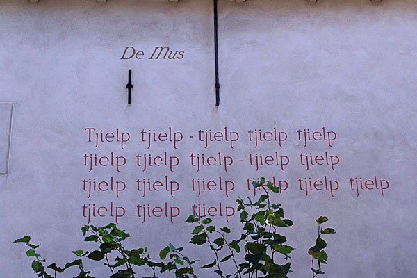 IK KAN VLIEGEN...: De Mus van Jan Hanlo