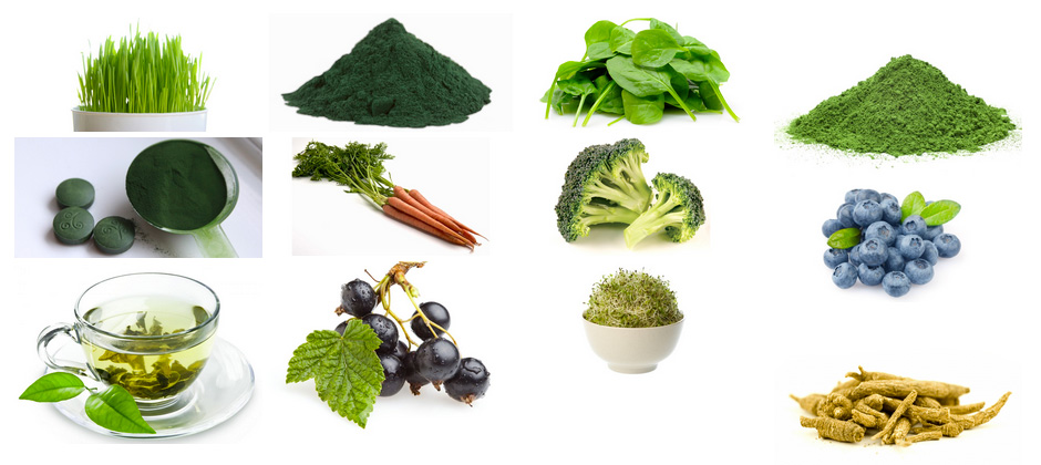 5 Grasses, 3 Superfood Vegetables, 2 Berries, 6 Digestive Enzymes & 2 ...