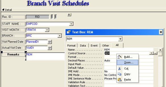 Edit Data in Zoom-In Control ~ LEARN MS-ACCESS TIPS AND TRICKS