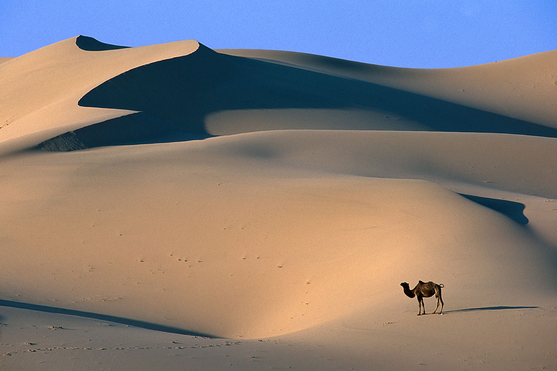 Tourism Gobi Desert tourism-gobi-desert