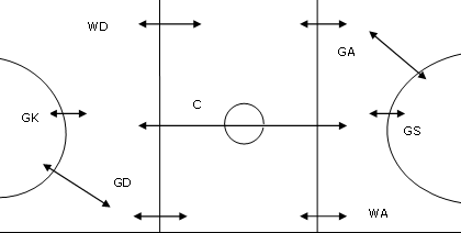 Reremoana Room 11: How netball works