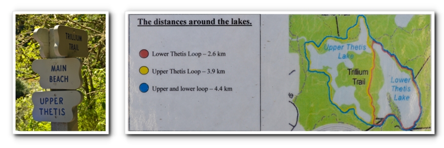 Discovering the Magic of Victoria, BC