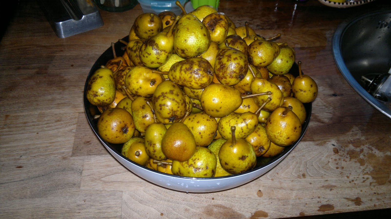 Fruits of the Forage: Wild Pear Part 1: Pear Cheese