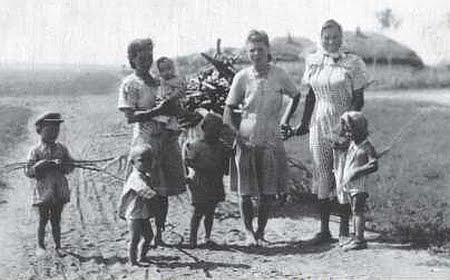 Updates, Live: Baragan