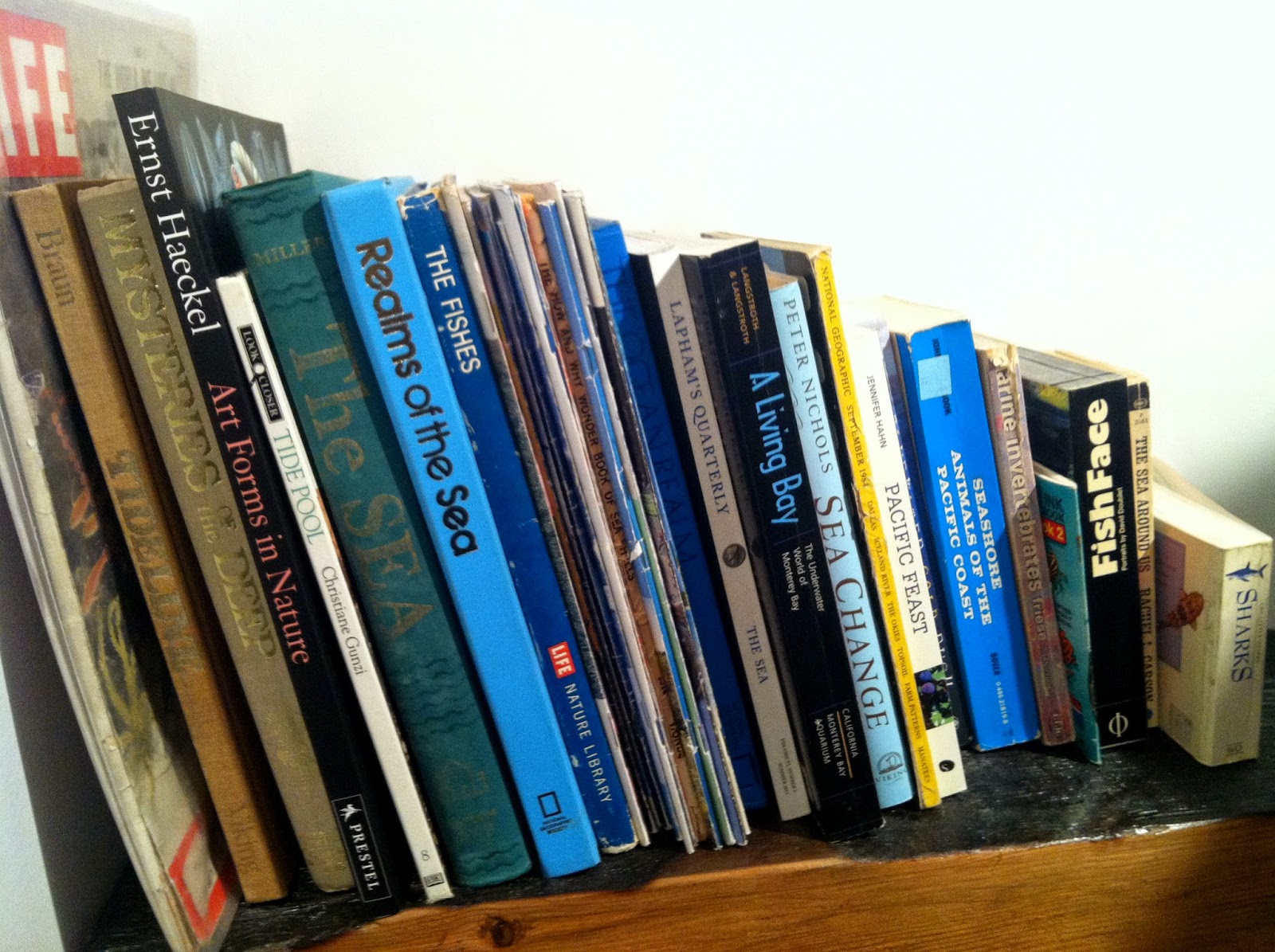 smARTy: Life Amore: Surf & Skate Artists Galore