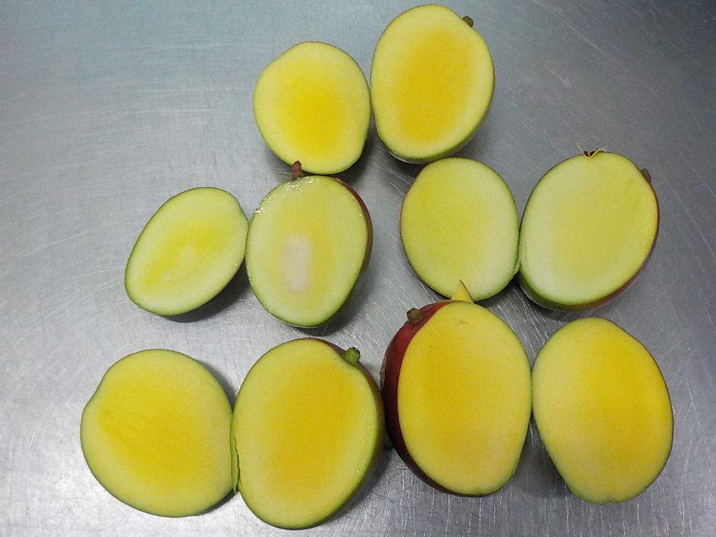 El mundo del Marine Surveyor (Capt.V.Massey): EL MANGO , SUS VARIEDADES ...