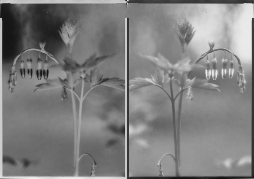 Historic photographic processes