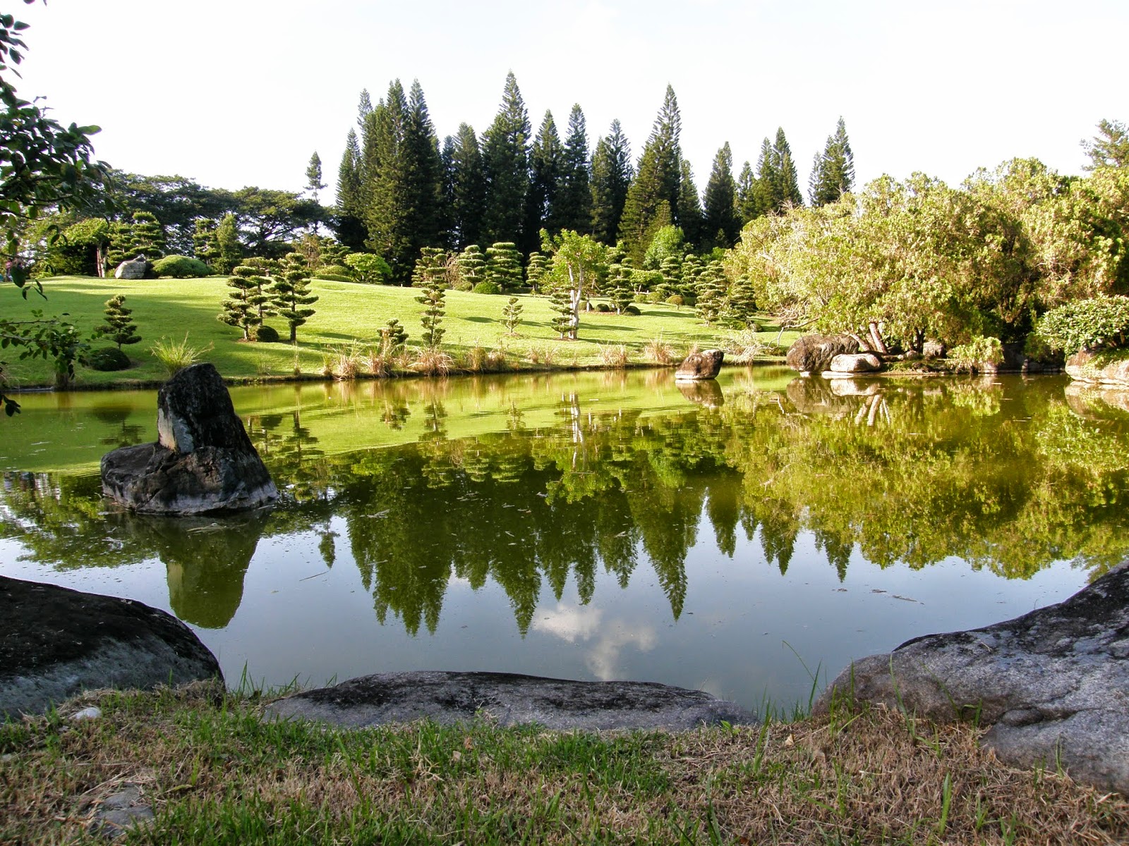 PORTAFOLIO FOTOGRÁFICO: JARDIN BOTÁNICO DE SANTO DOMINGO R.D.