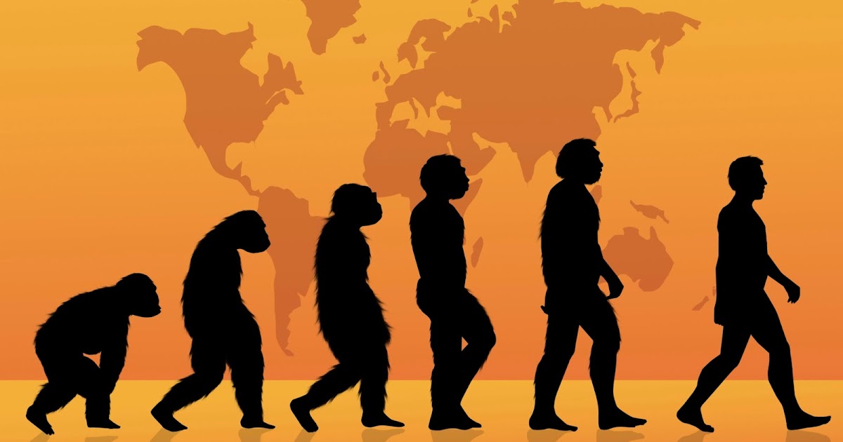 Blog de Cornelio Westenenk: El Transhumanismo