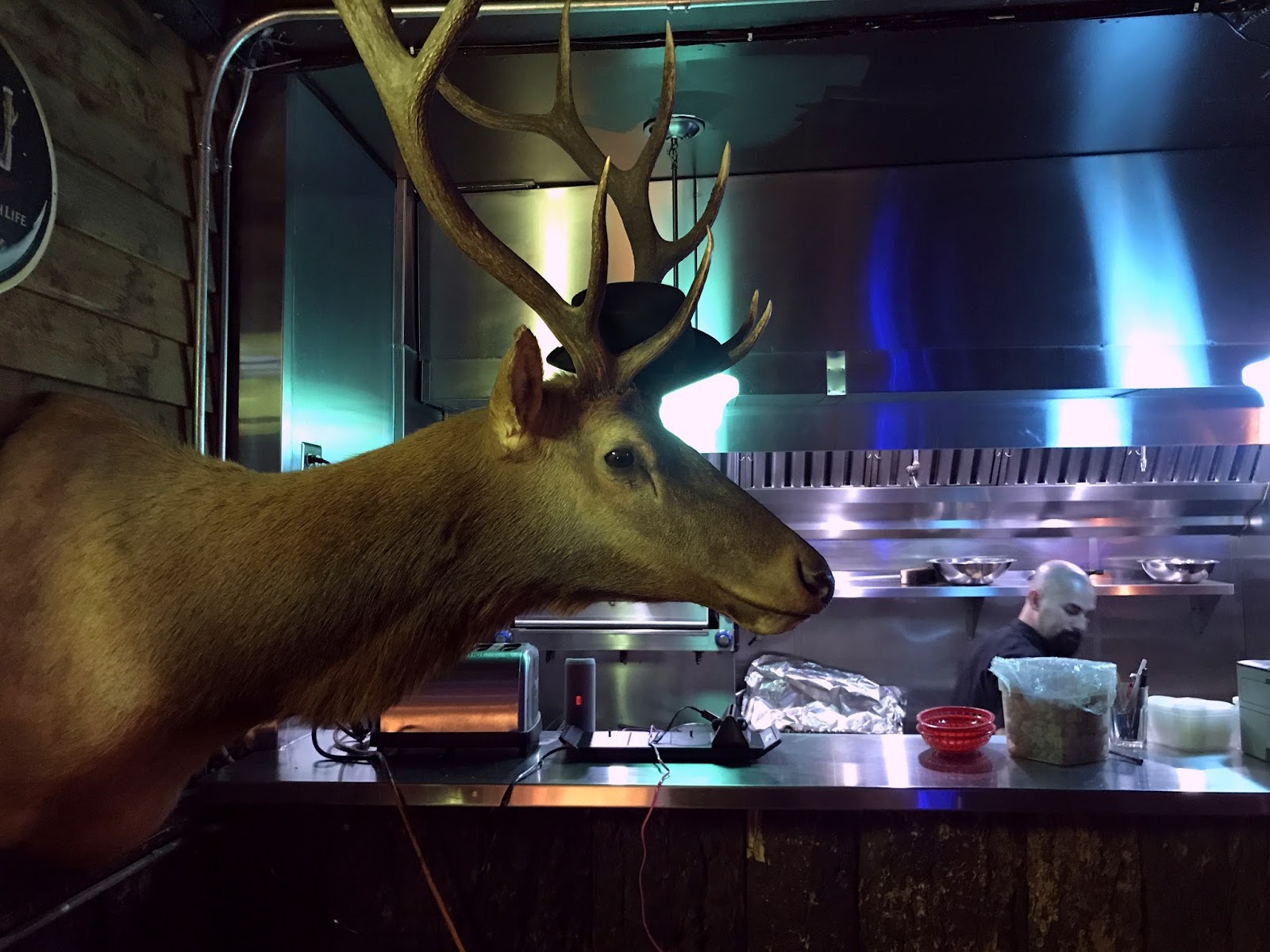 Rotgut.org Blog: #633 - Rollin Log Tavern, Issaquah - 4/26/2008