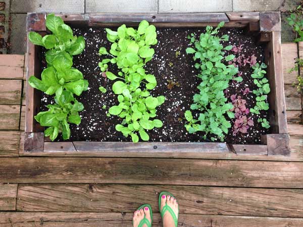 How to Make a Lettuce Table from Cast Off Furniture | Creative Green Living