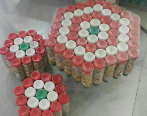 Pembuatan Ecobrick di Lingkungan Madrasah ~ Catatan Anik Zahra