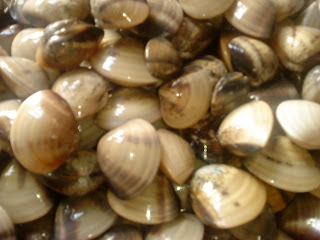 ~ MY SWEET RECIPE ~: KEPAH GORENG PEDAS