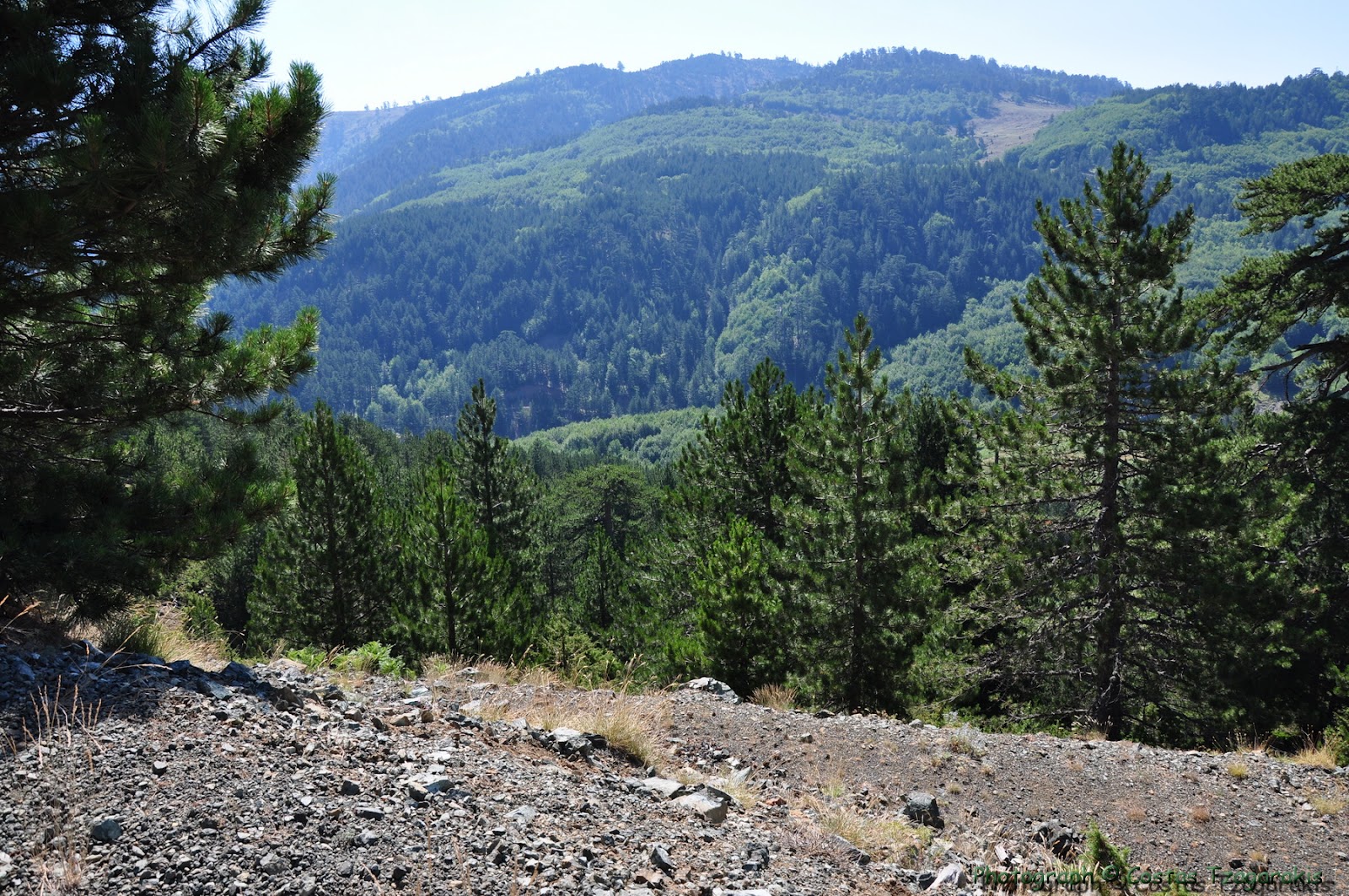 Nature Digital : The National Park of Valia Calda(II). Ο Εθνικός Δρυμός ...