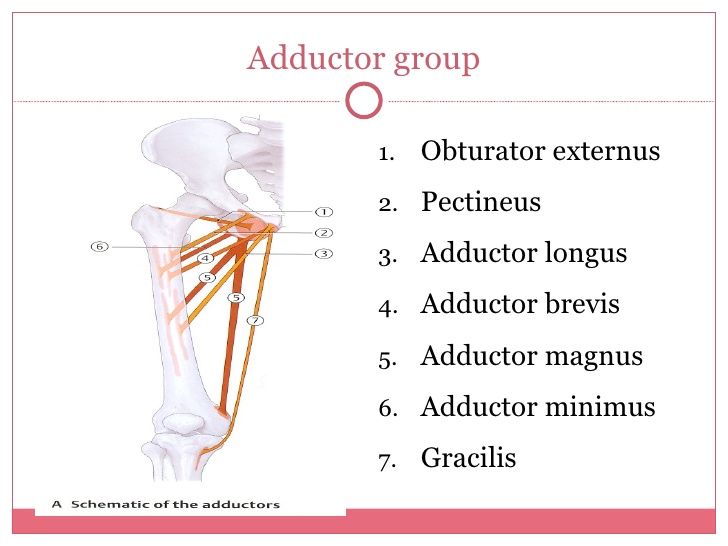 Art/Yoga Fusion: Squaring the Hips in Yoga Inversions