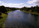 Cargill Beat River Tay Perthshire Scotland: Febuary 11th - Cargill ...