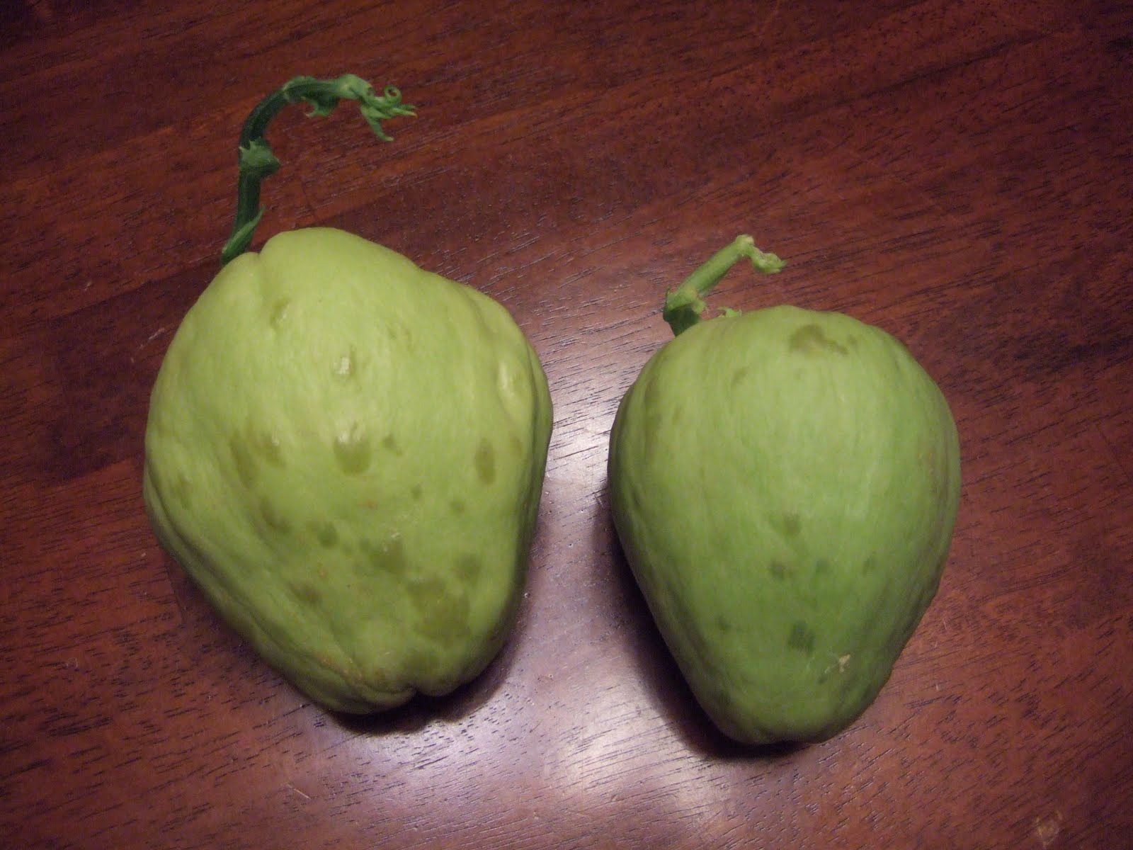 Kusina ni Manang: Sayote Series Part 1. Growing Sayote