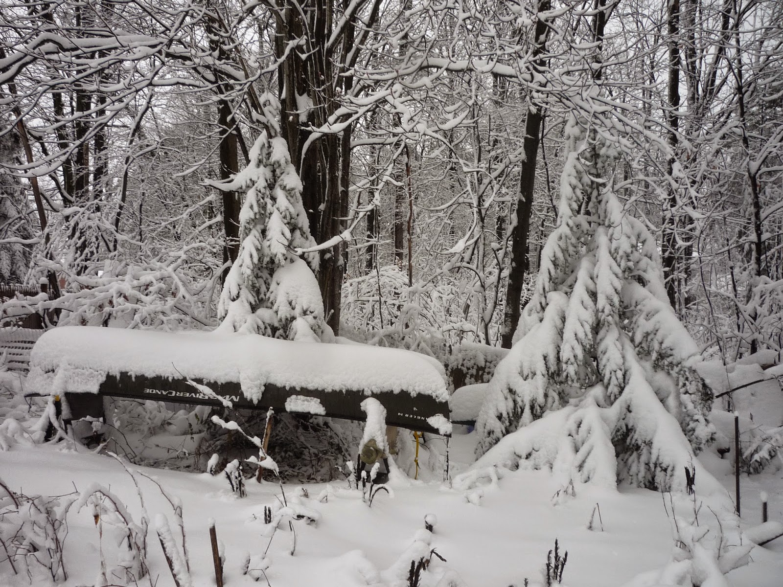 Weather in Vermont: Dec 2014 Snowstorm | South Burlington, Vermont ...