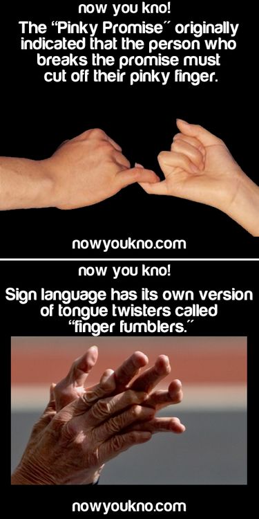 60 Interesting Random Facts | Amazing WTF Facts