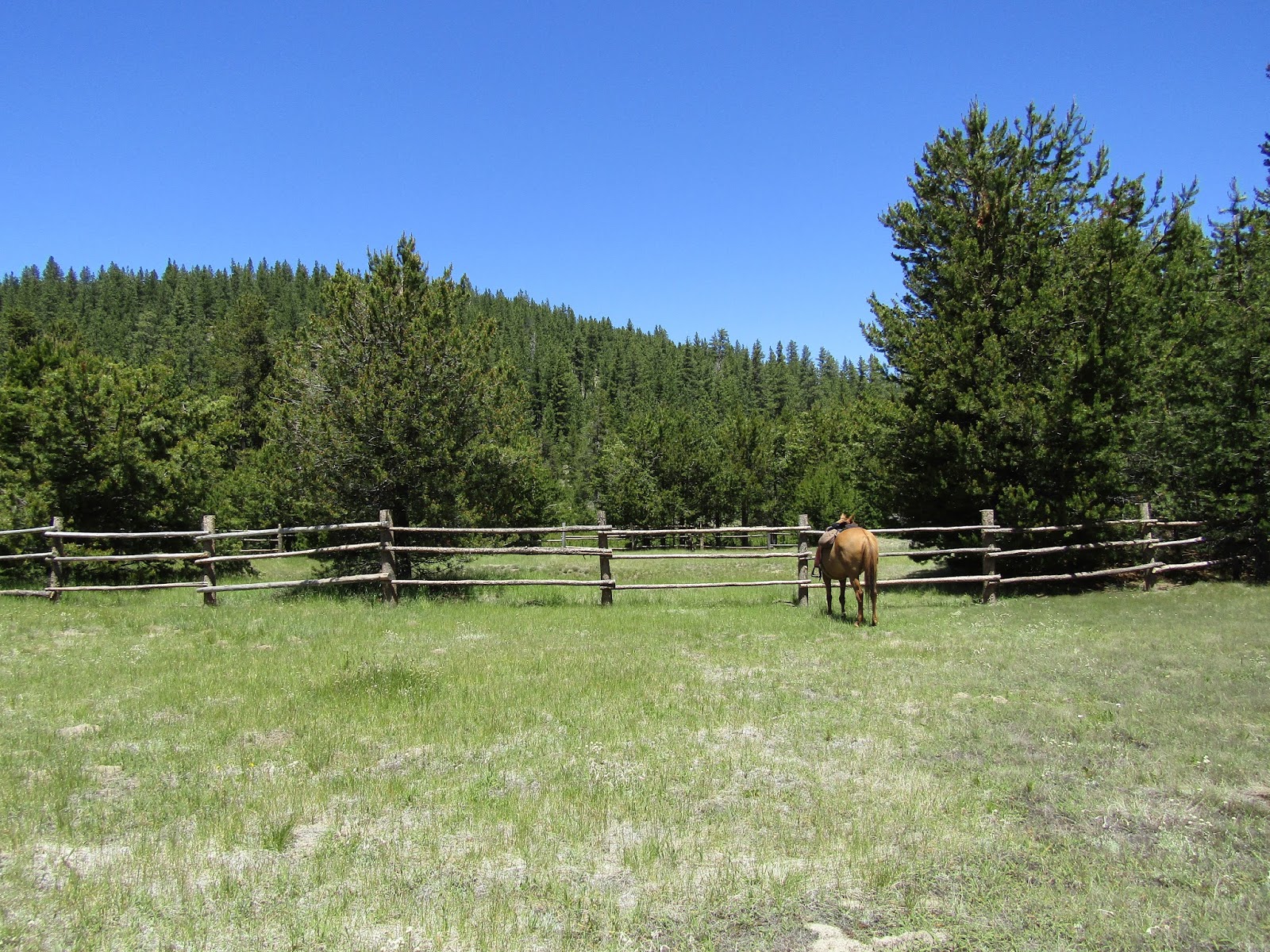 Holly's Horse Tales and Trails: Boyd Cave to Swamp Wells Horse Camp, Oregon