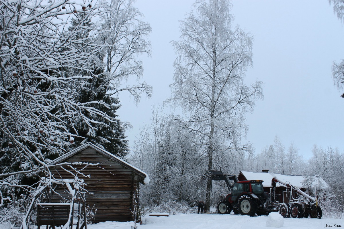 M A R I S I N N: Talviloma // Winter holiday